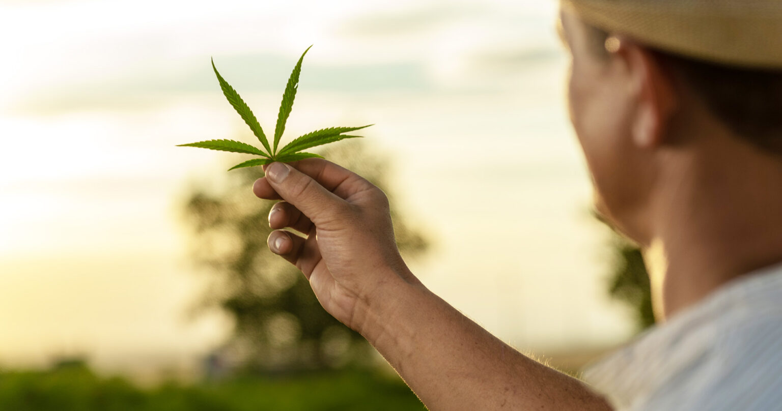 Osburg im Porträt: Einblicke in die Heimat unseres Hanfs | Öko Agrar